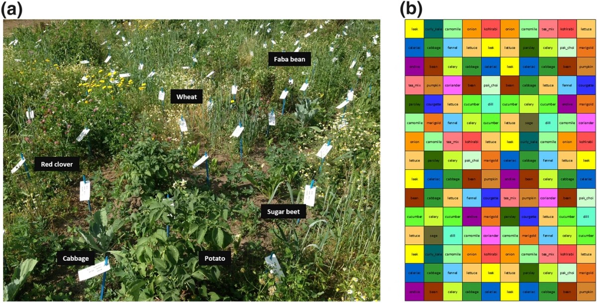 Paper | How to Design a Farming Robot Without a Monocultural Mindset ...